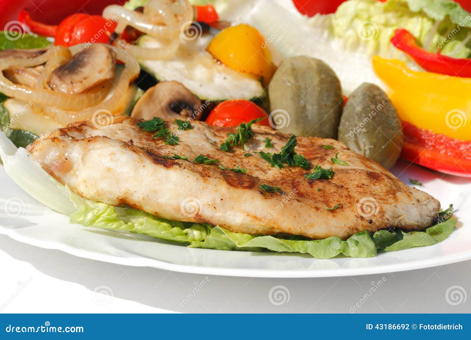 Grilled turkey steak stock photo. Image of color, green - 43186692