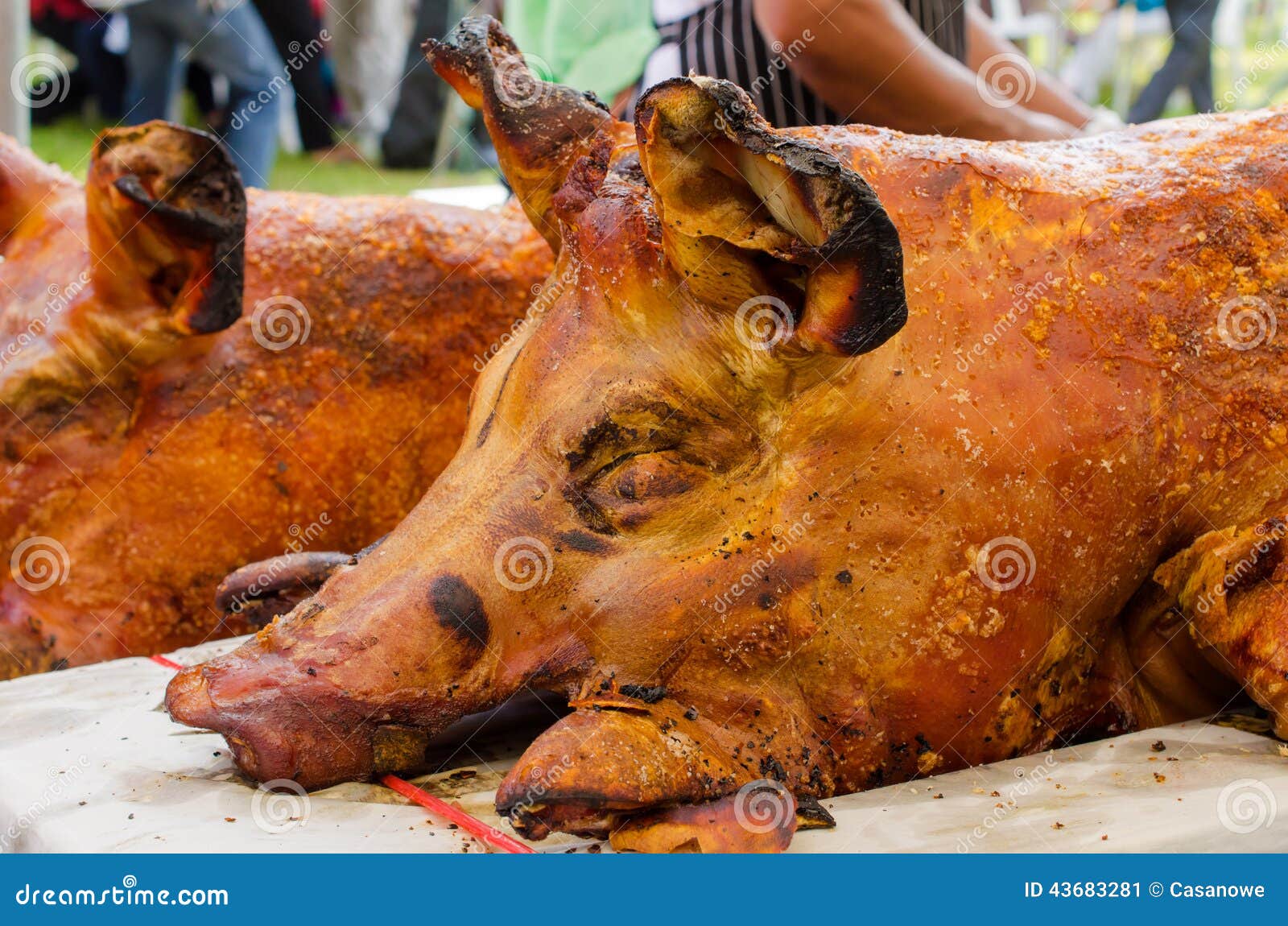 Grilled Whole Roasted Pig Spit Roasting is a Traditional Stock Image ...