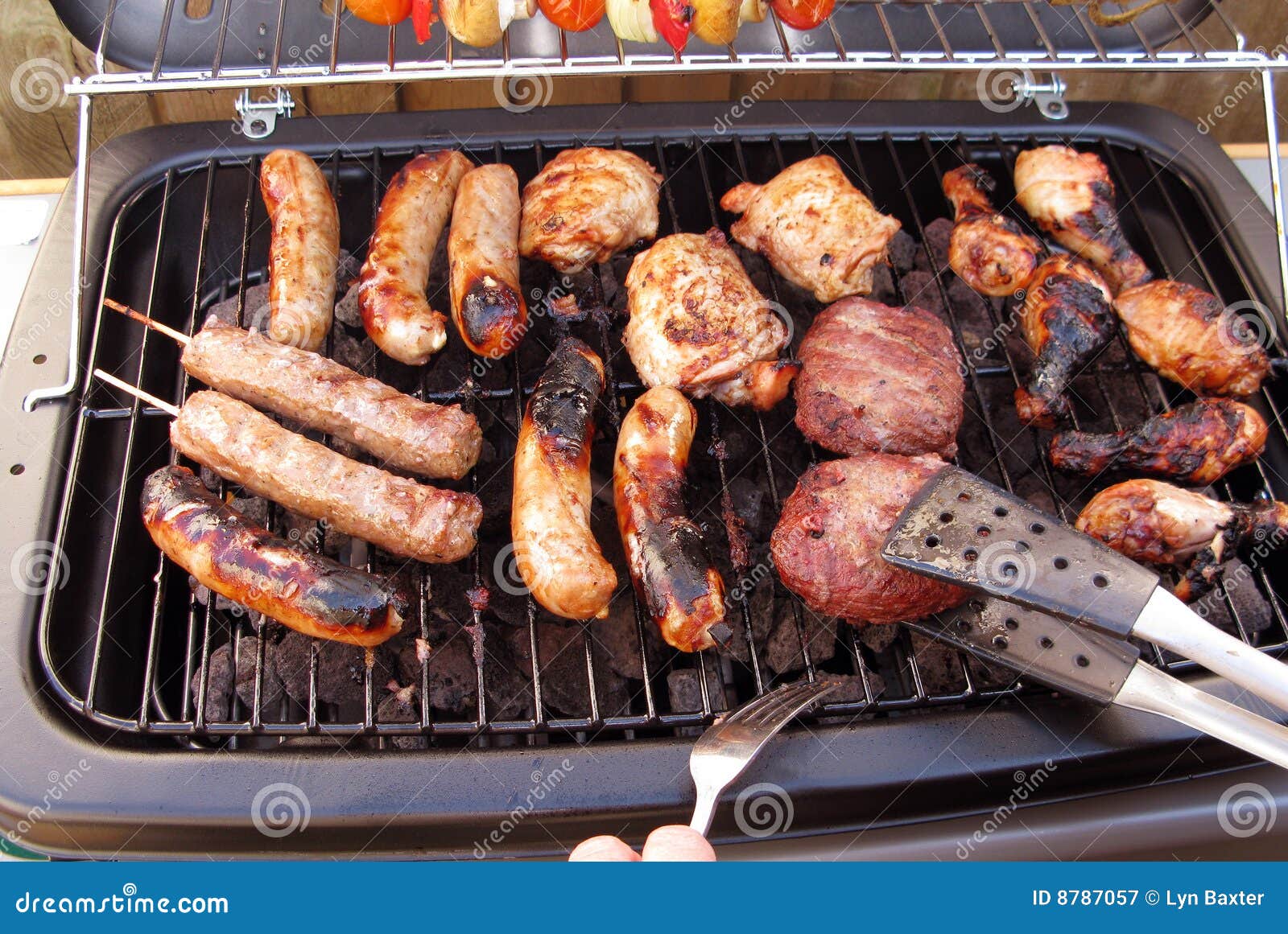 Grillfest fotografering för bildbyråer. Bild av amerikansk - 8787057