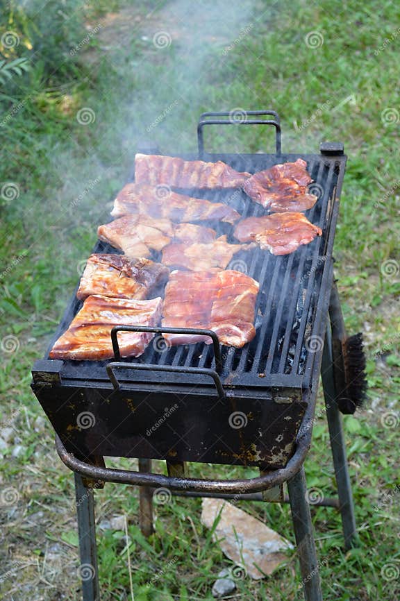 Grillfest i skogen arkivfoto. Bild av matlagning, nytt - 129628232