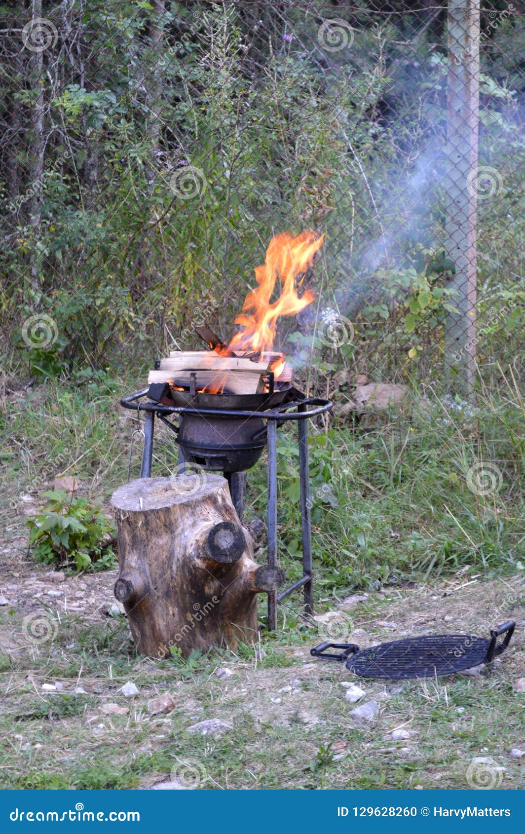 Grillfest i skogen arkivfoto. Bild av skog, maträtt - 129628260