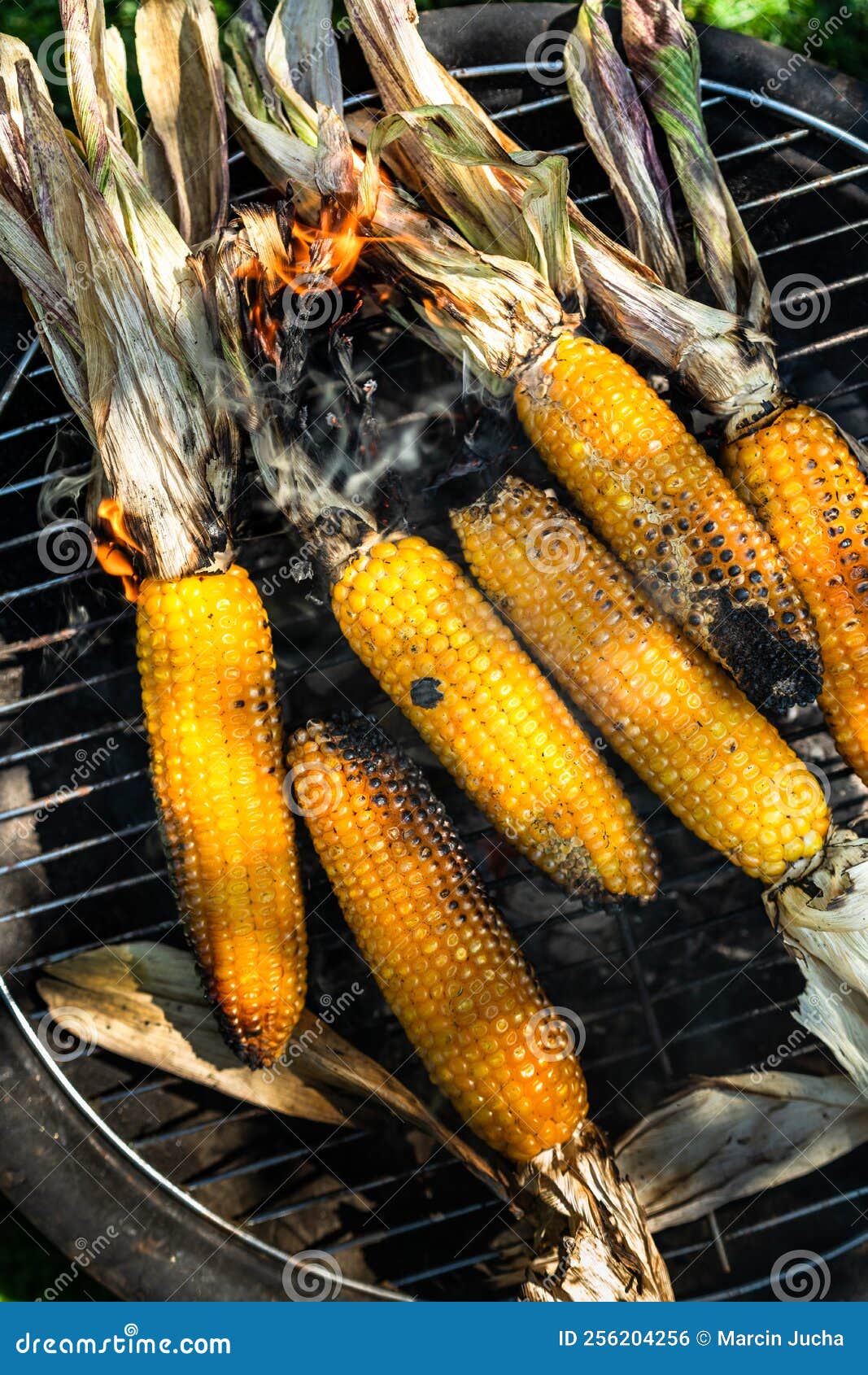 Grilling Corn on the Cob on Hot Coal in Bbq Stock Photo - Image of ...