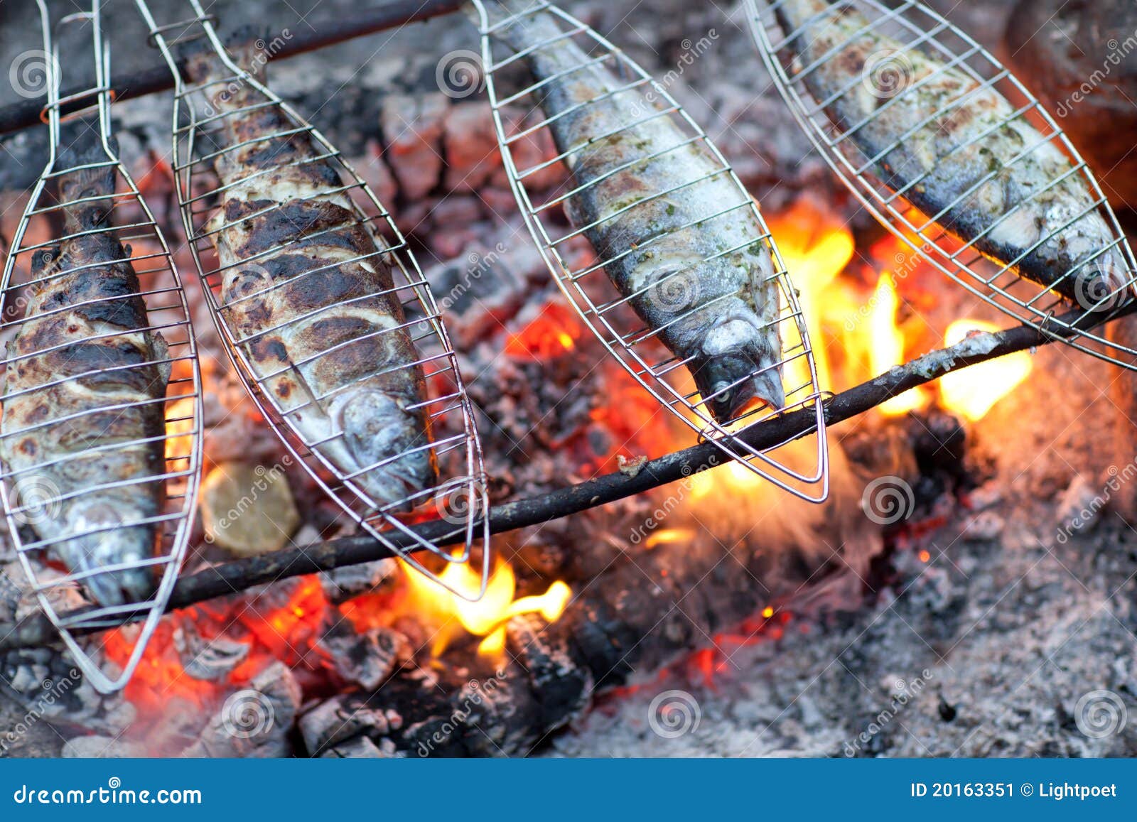 Grilling fish stock image. Image of mountain, food, camping - 20163351