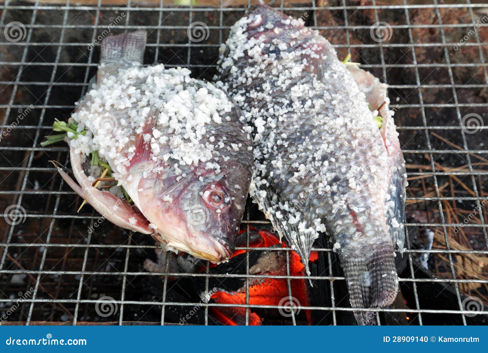 Grilling fish stock photo. Image of outdoor, countryside - 28909140