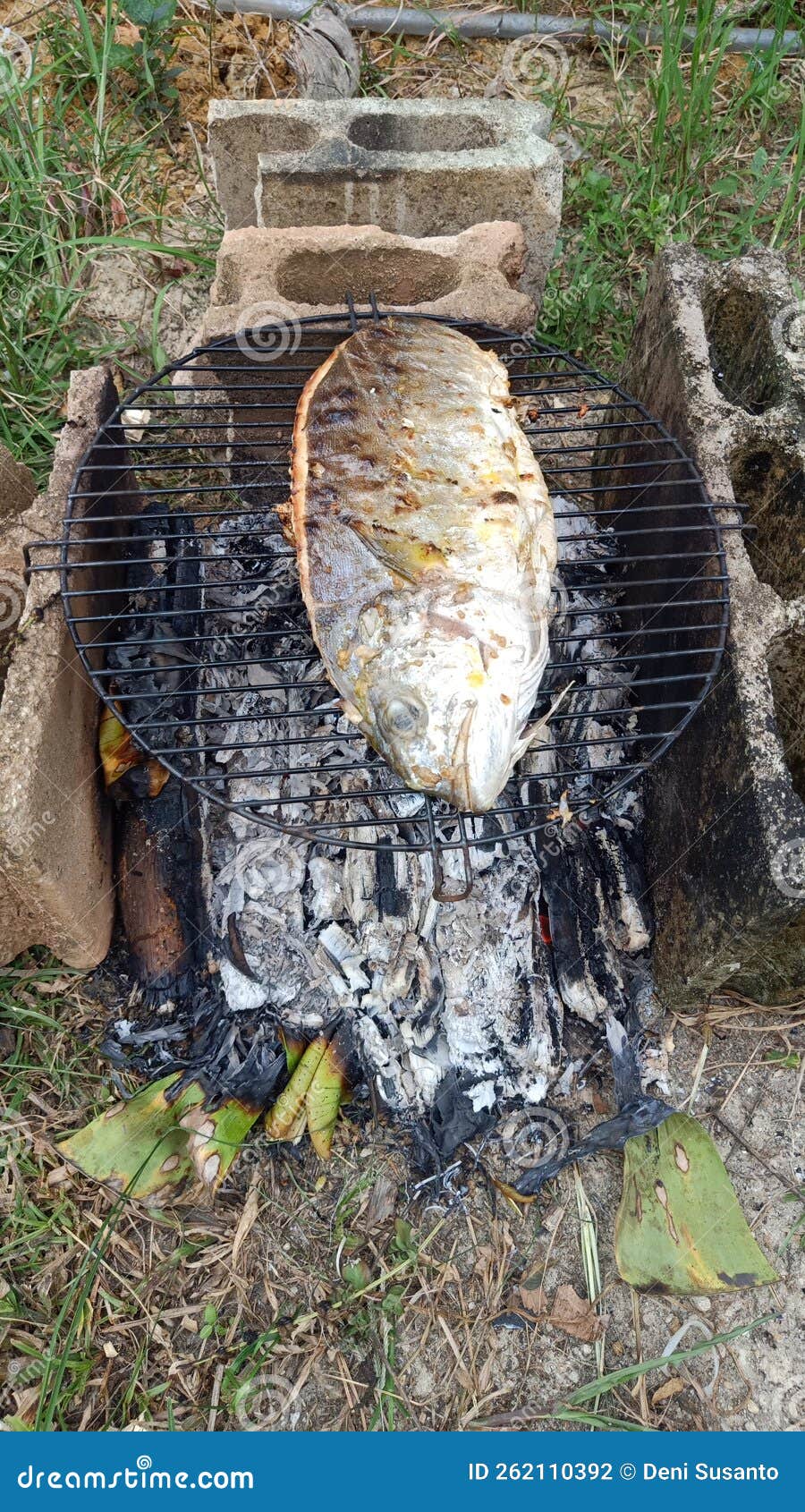 Grilling Fish in the Backyard Stock Photo - Image of leaf, backyard ...