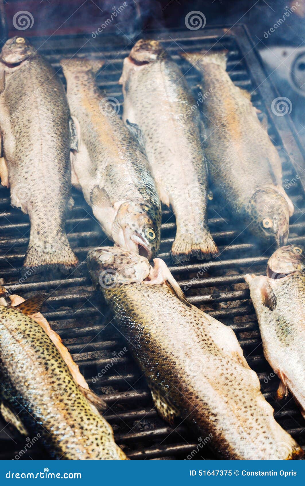Grilling fish on barbecue stock image. Image of smoked - 51647375