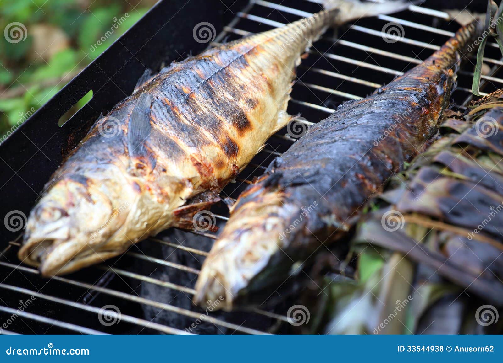 Grilling fish on campfire stock photo. Image of heat - 33544938