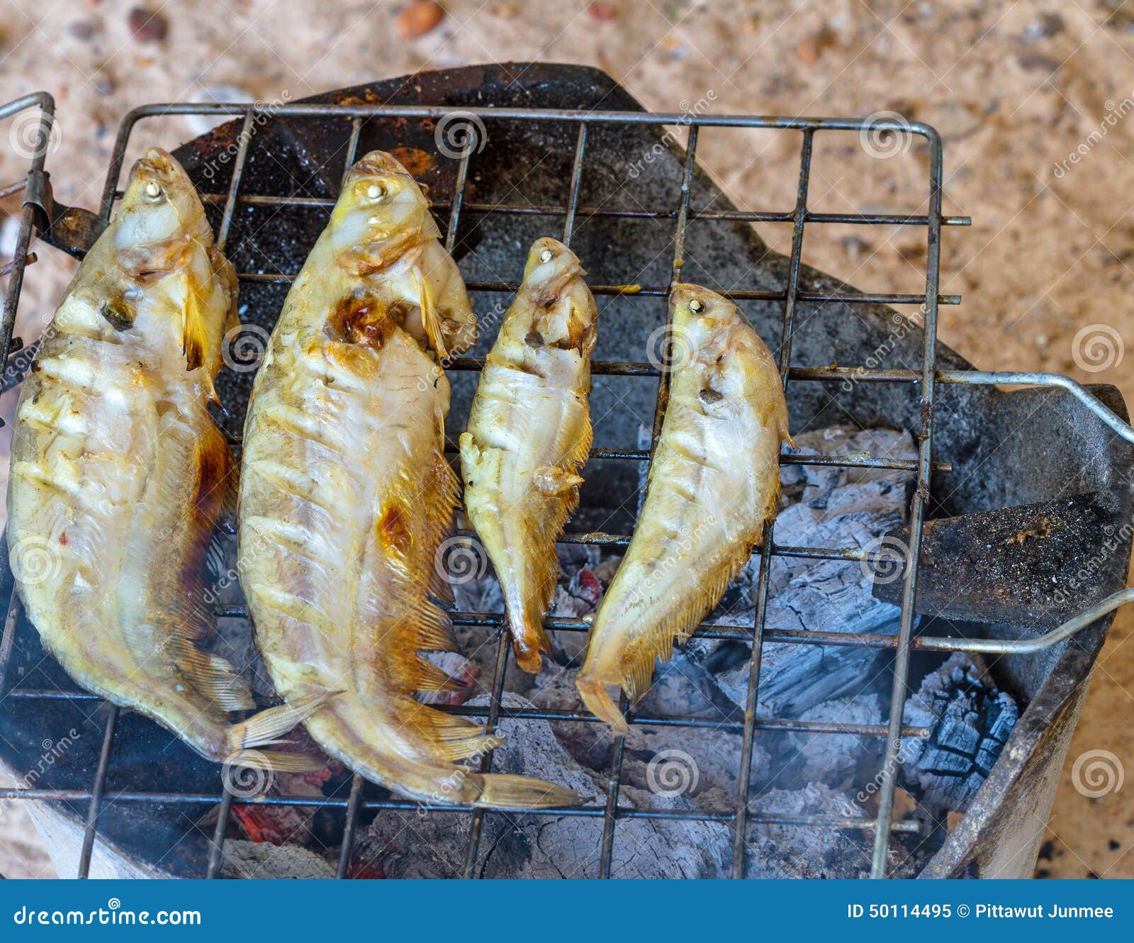 Grilling fish on campfire stock image. Image of park - 50114495