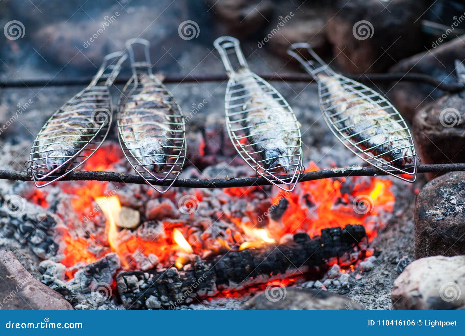 Grilling fish on campfire stock photo. Image of grilling - 110416106