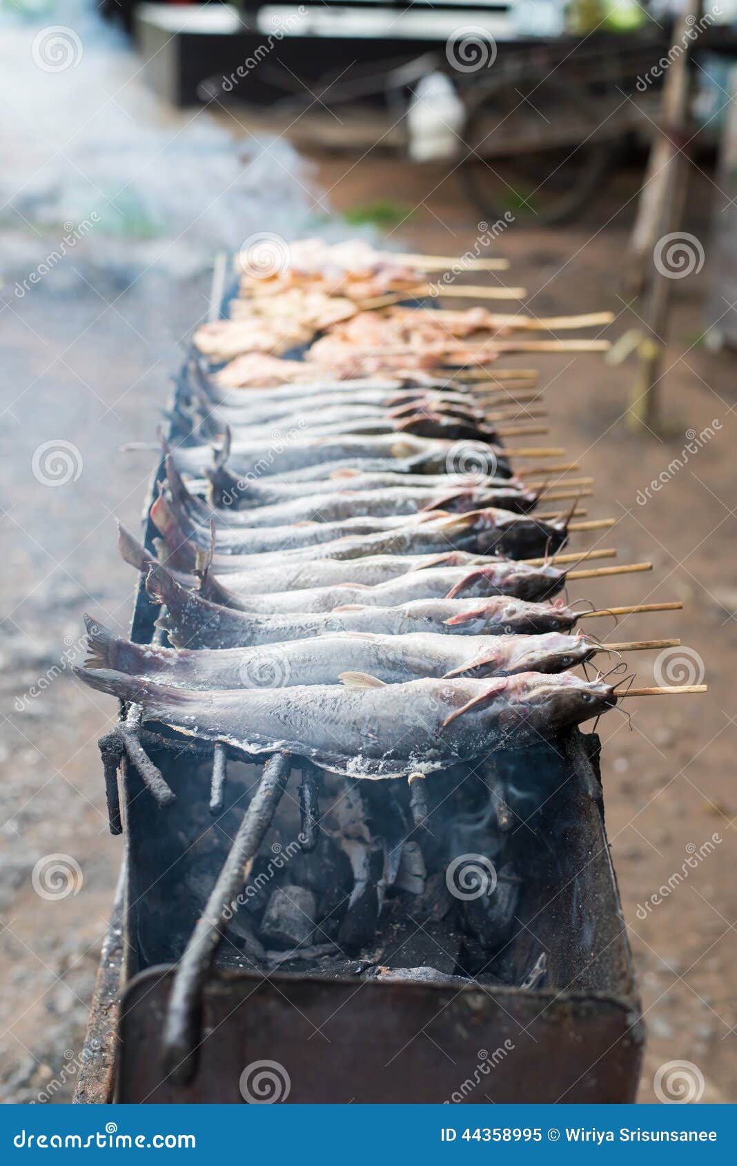 Grilling fish on campfire stock image. Image of color - 44358995