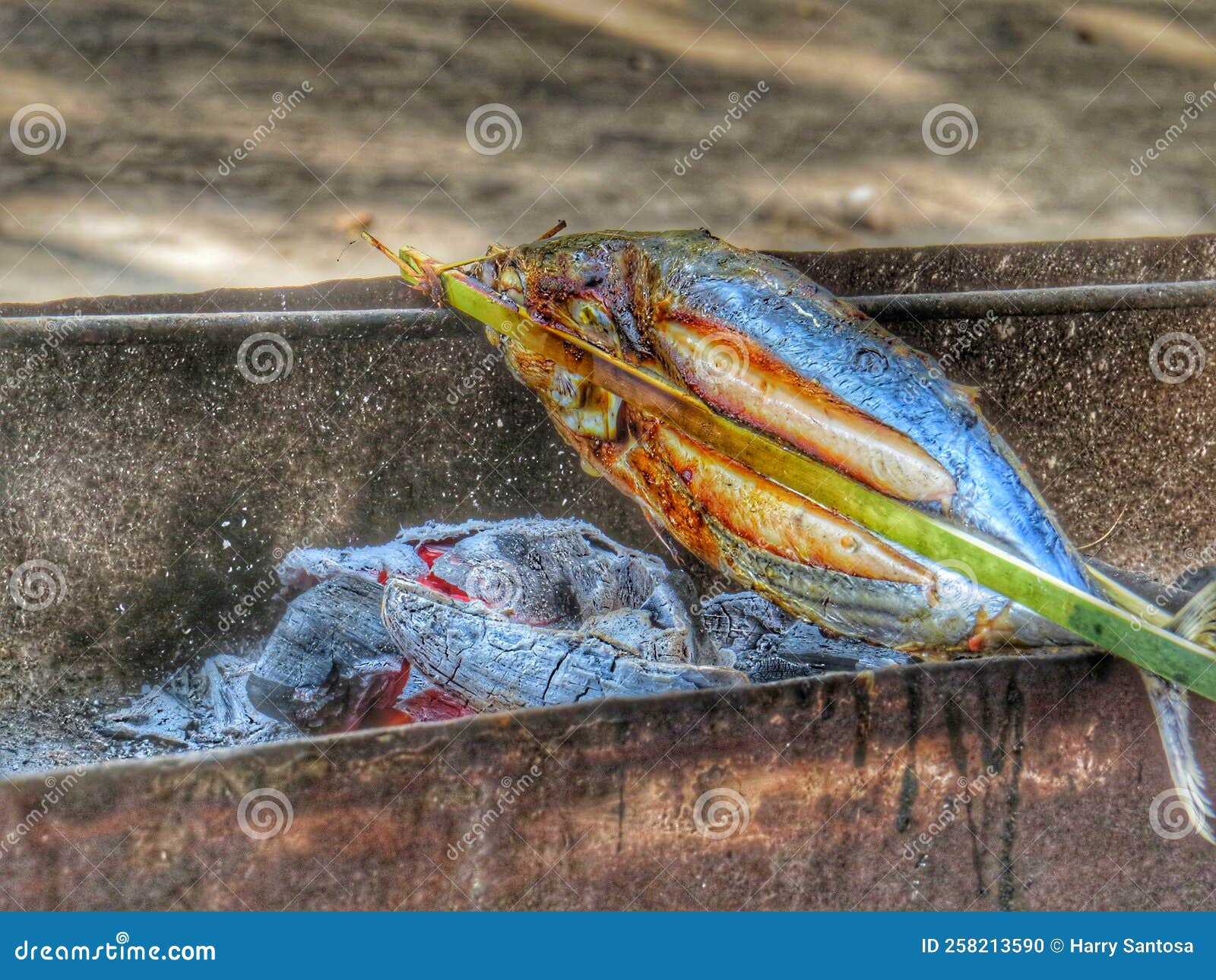 Grilling Fish Over the Fire Stock Photo - Image of cooking, meal: 258213590