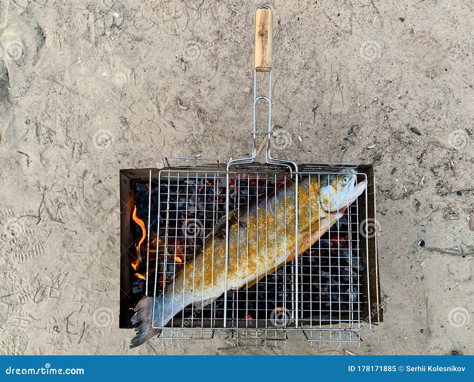 Grilling Fish during a Picnic. Roasting Salmon on Burning Coals in the ...