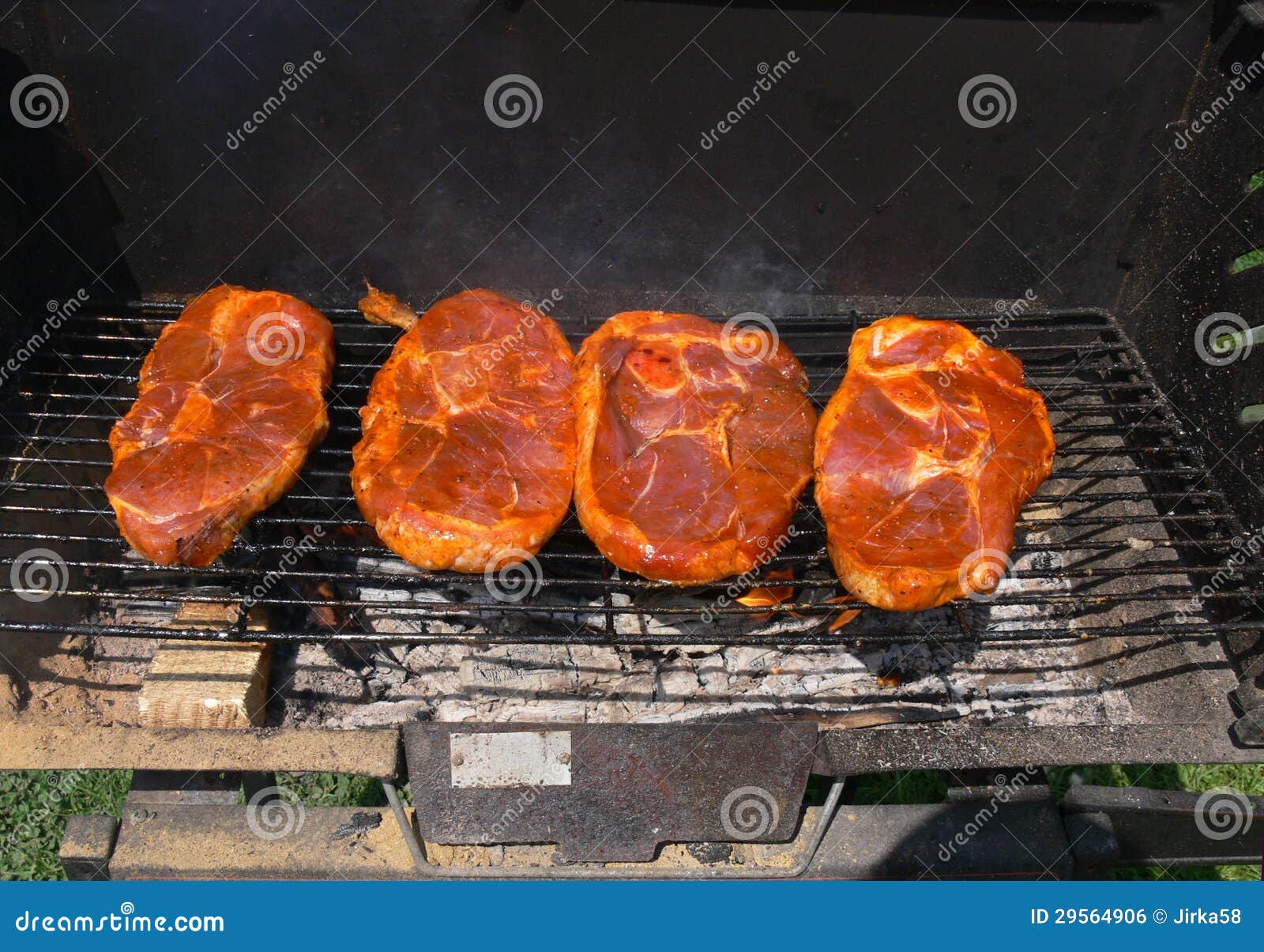 Grilling meat stock photo. Image of picnic, grilling - 29564906