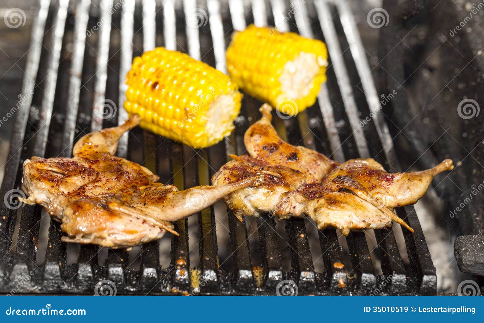 Grilling quail stock image. Image of grilled, preparing - 35010519