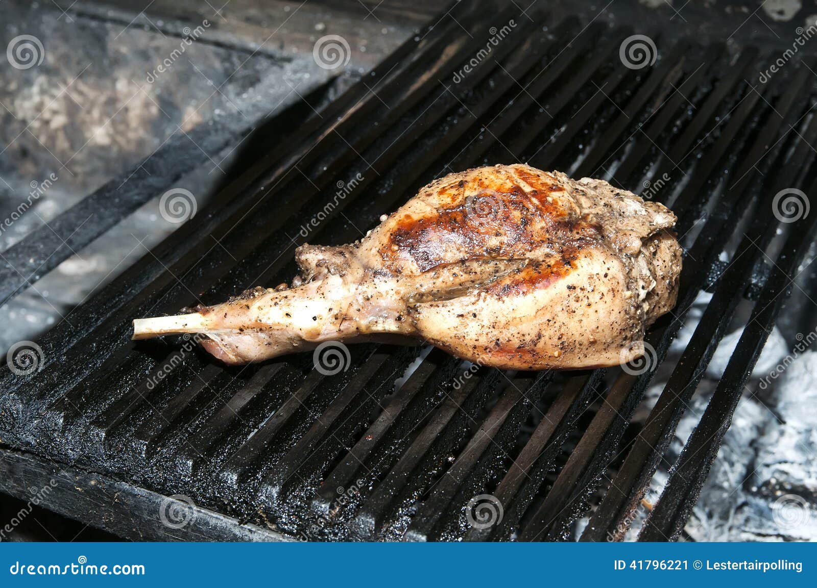 Grilling rabbit stock image. Image of olive, cuisine - 41796221