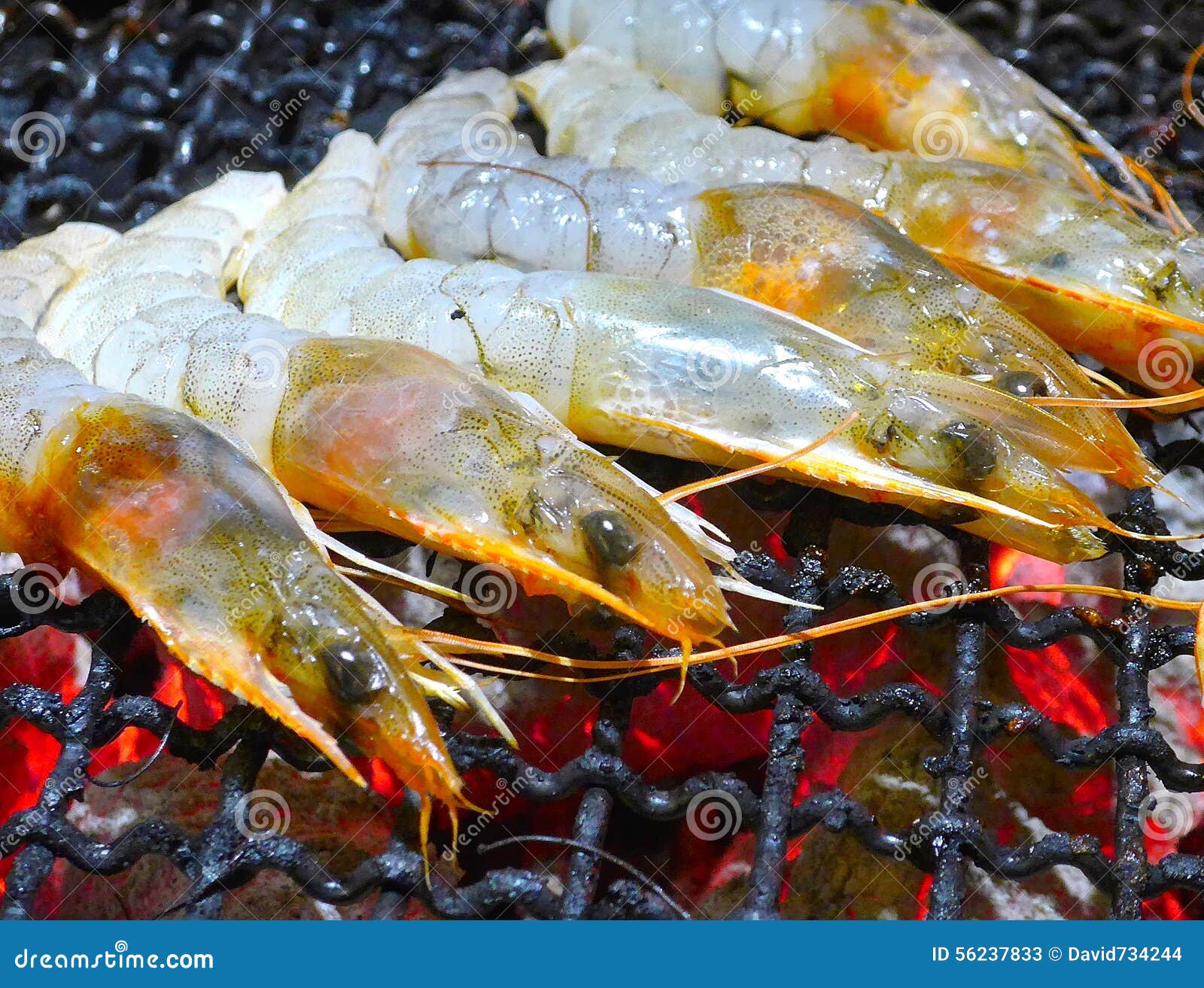 Grilling shrimp stock image. Image of gourmet, looking - 56237833