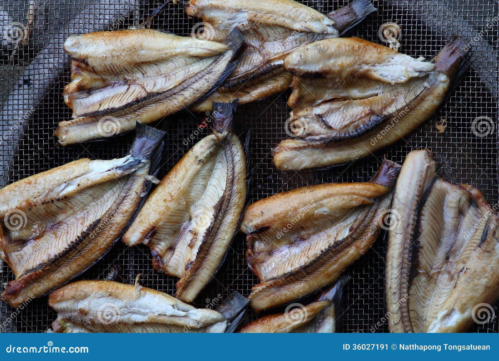Grilling snakehead (fish) stock image. Image of grilling - 36027191