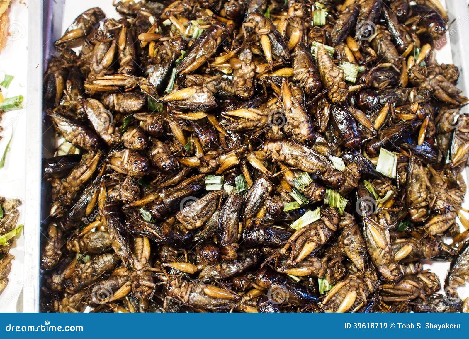 Grillo asiático frito imagen de archivo. Imagen de frito - 39618719
