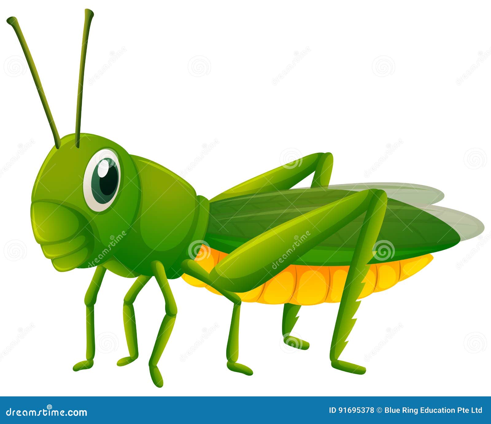 Grillo en el fondo blanco ilustración del vector. Ilustración de objeto ...