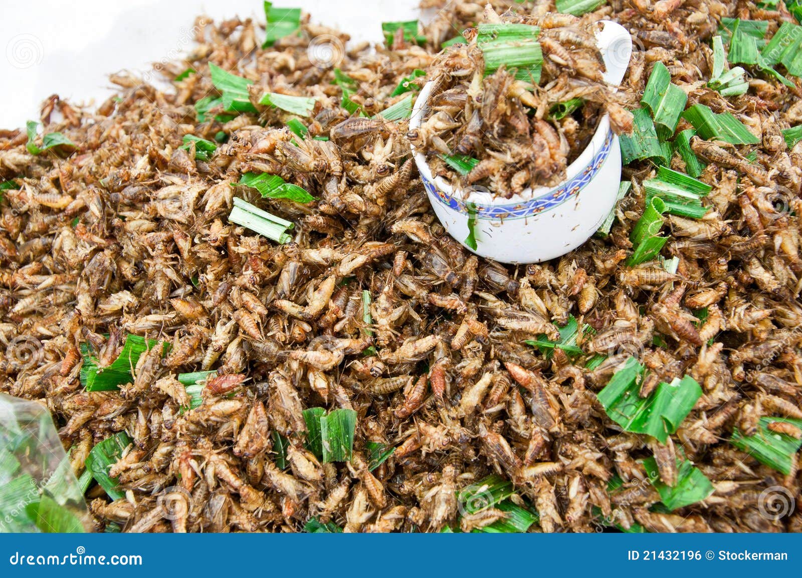 Grillo fritto. fotografia stock. Immagine di pasto, particolare - 21432196