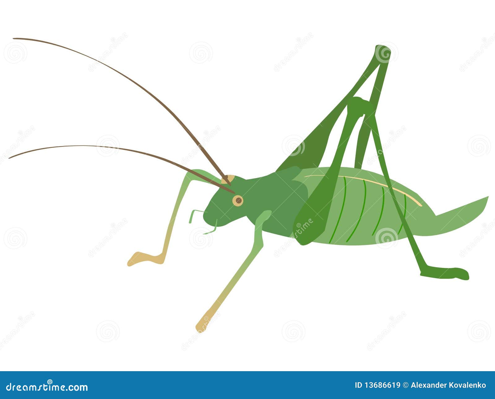 Grilo ilustração do vetor. Ilustração de elegância, fundo - 13686619