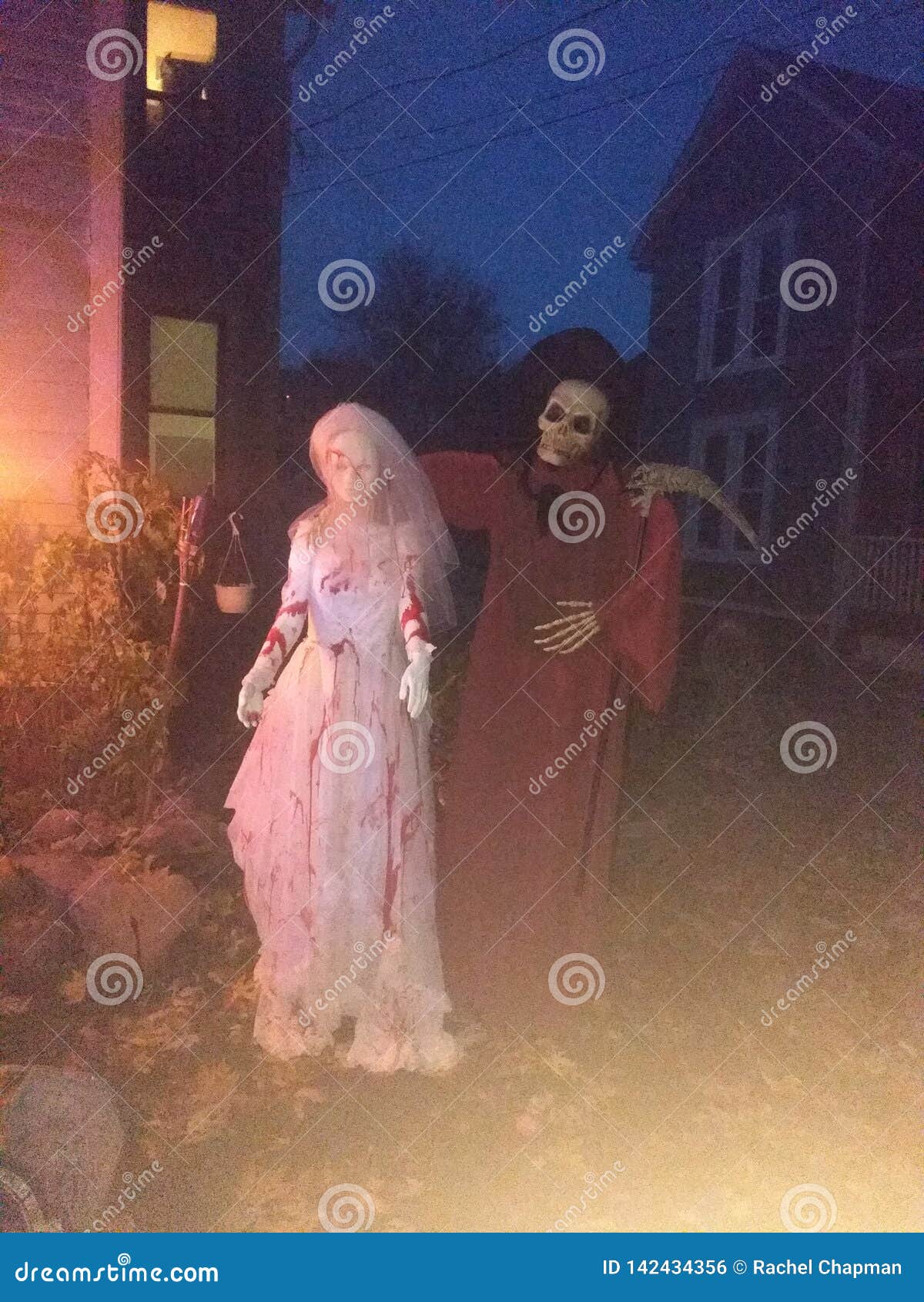 Grim reaper & bride stock photo. Image of grim, blood - 142434356