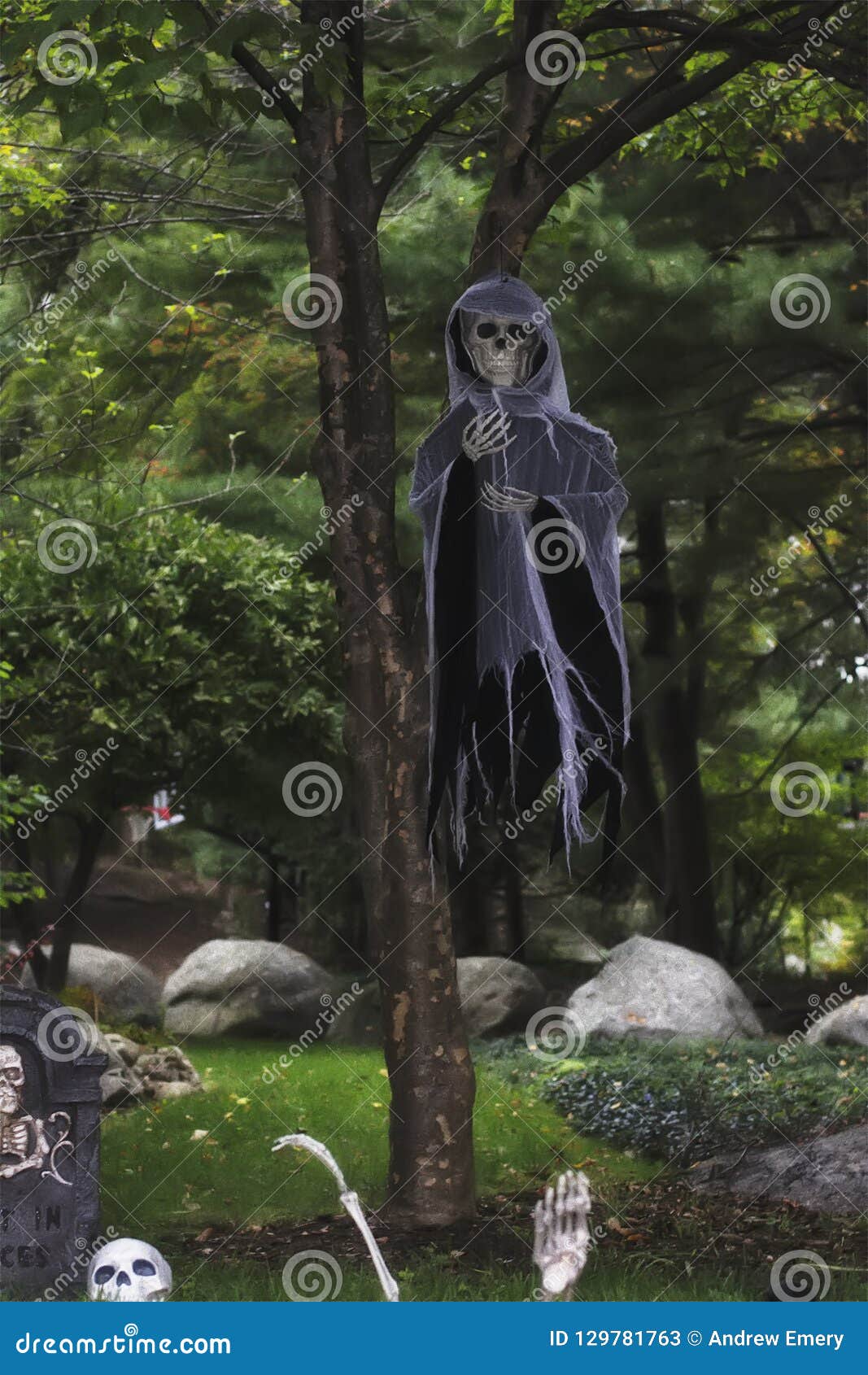Grim Reaper Doll Hanging from Front Yard Tree Stock Image - Image of ...