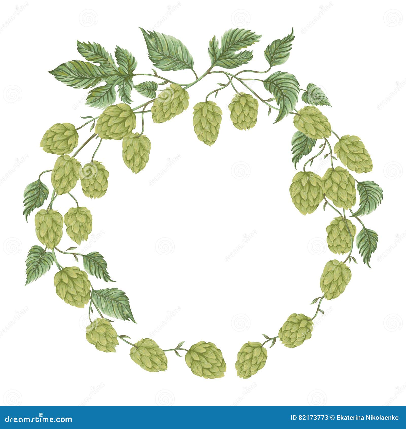 Lupulo Ilustrações, Vetores E Clipart De Stock – (3,574 Stock ...