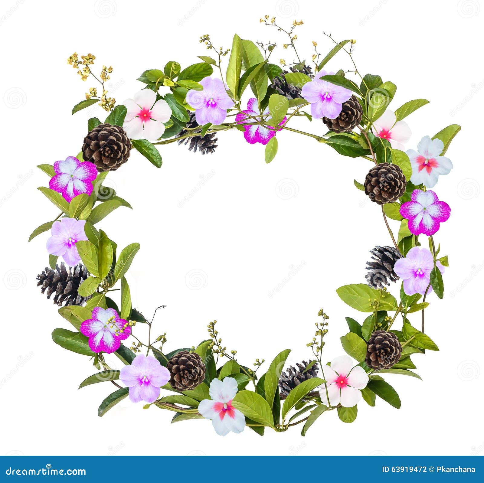 Grinalda Da Flor Da Trepadeira Foto de Stock - Imagem de grinalda ...