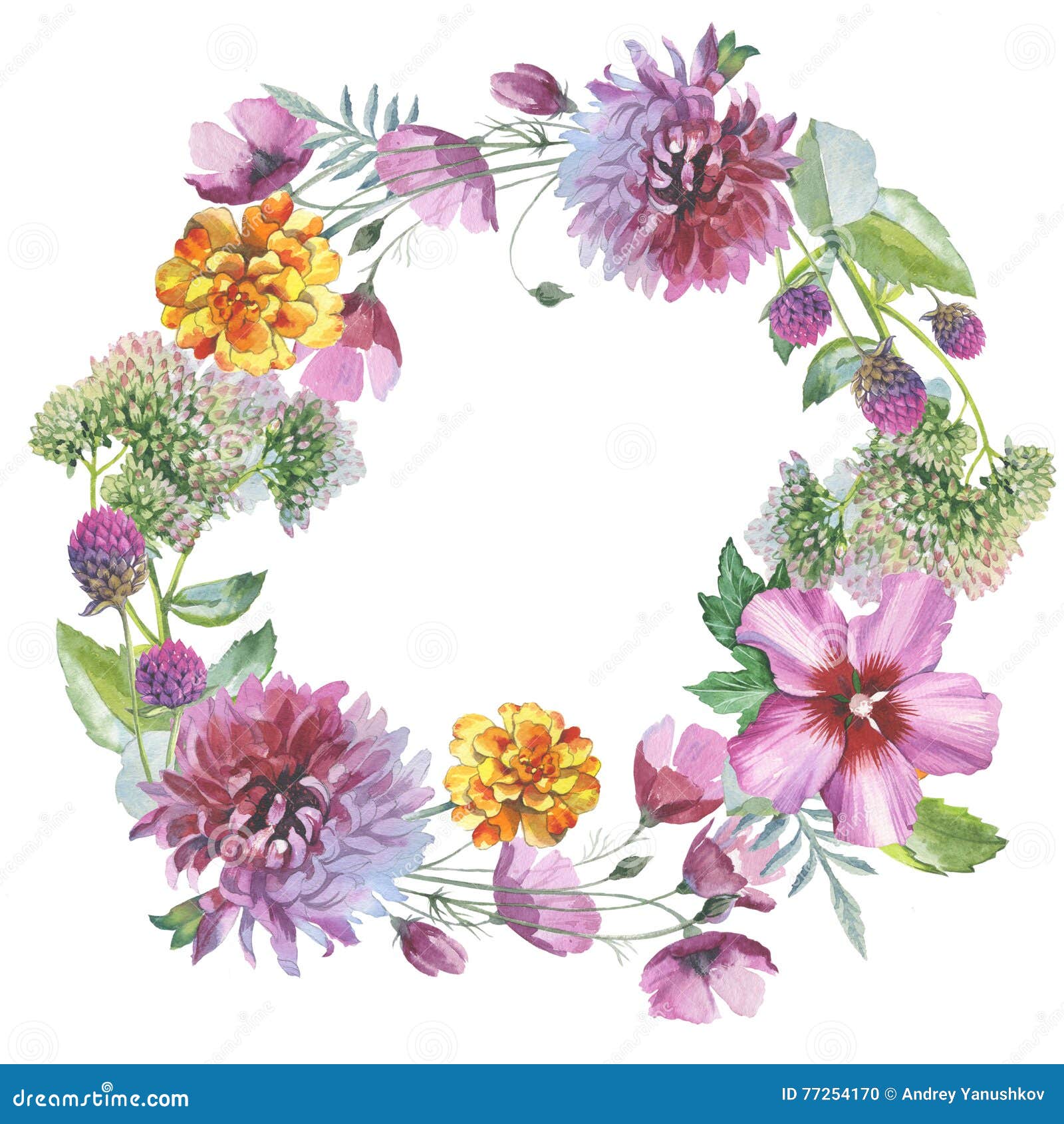 Grinalda Da Flor Do Crisântemo Do Wildflower Em Um Estilo Da Aquarela ...