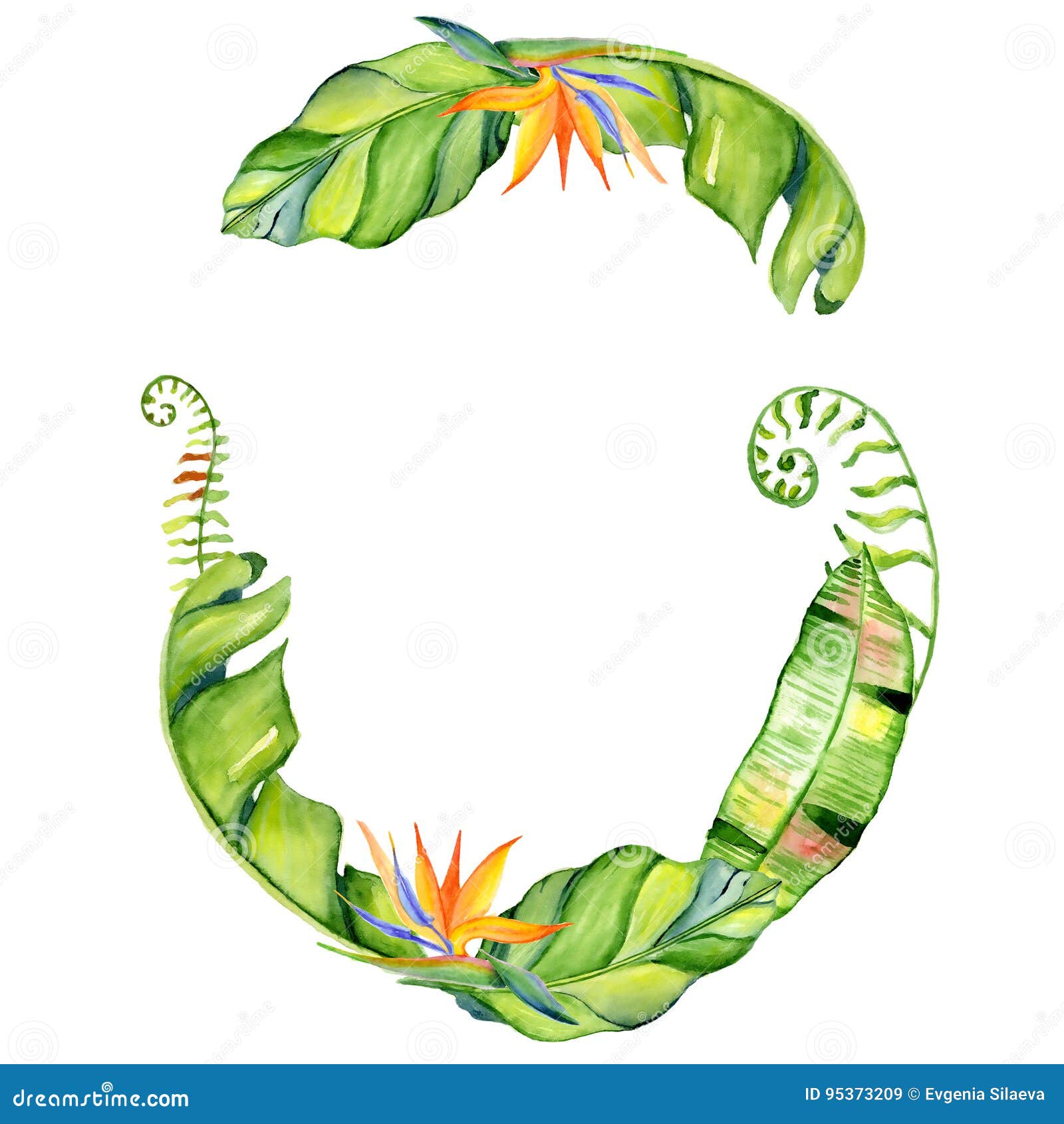 Grinalda Tropical Das Folhas Da Aquarela Ilustração Stock - Ilustração ...