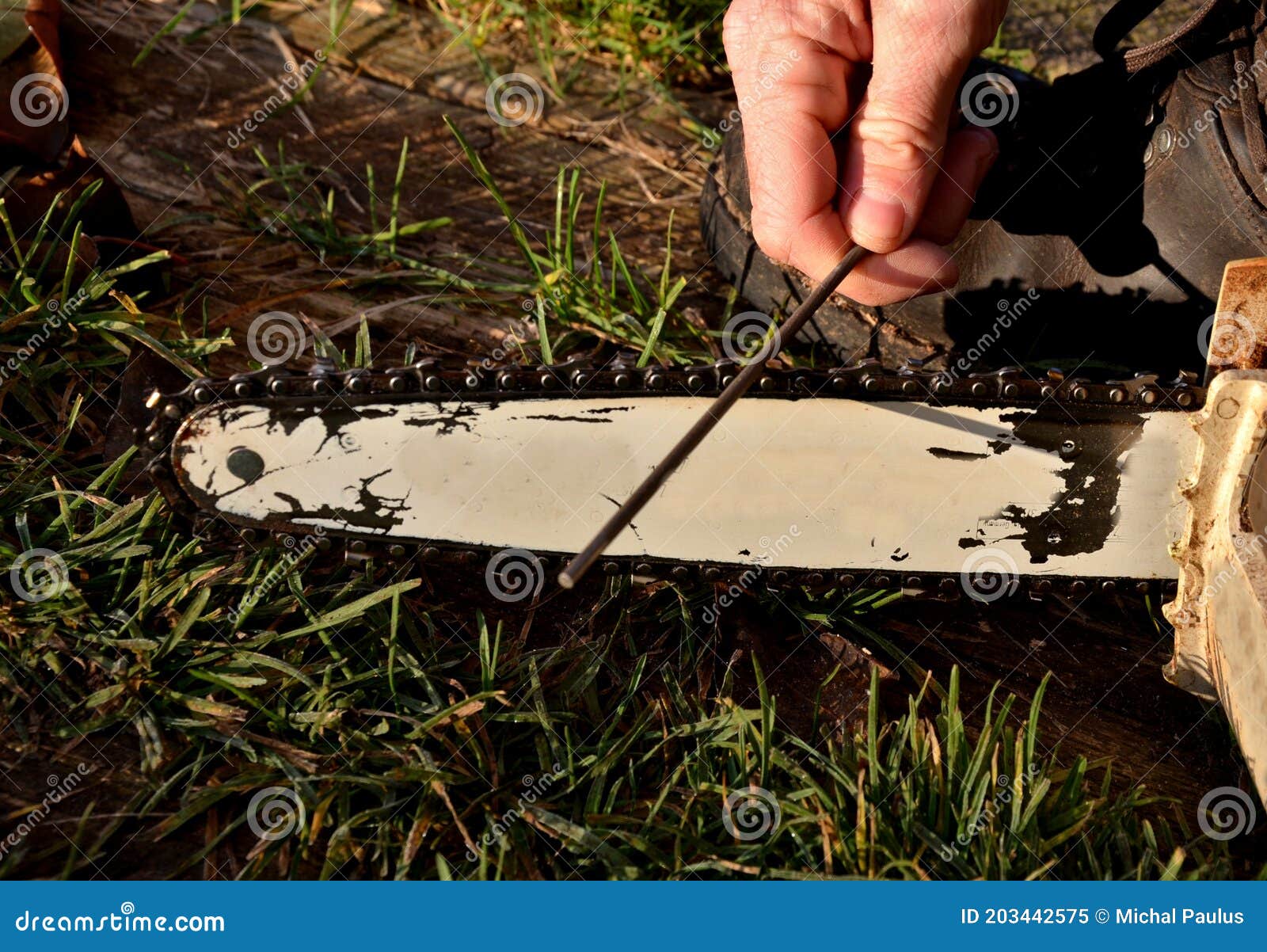 Grinding the Chainsaw Chain with a Round File at the Right Angle of the ...
