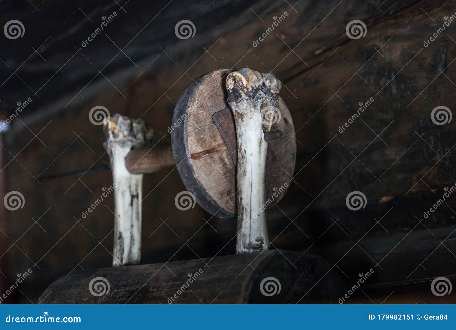 A Grinding Circle on the Bones of an Ancient Tool Made from Bone Stock ...
