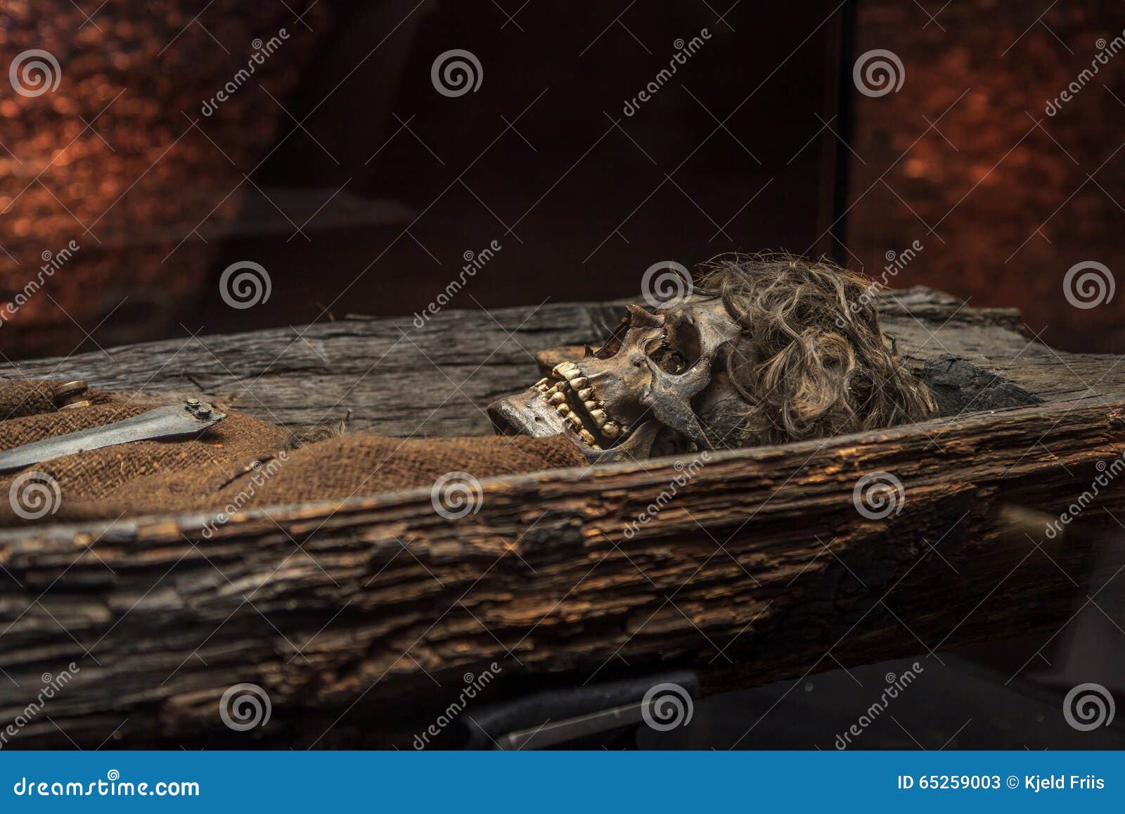 Grinning Skull editorial stock photo. Image of moesgaard - 65259003