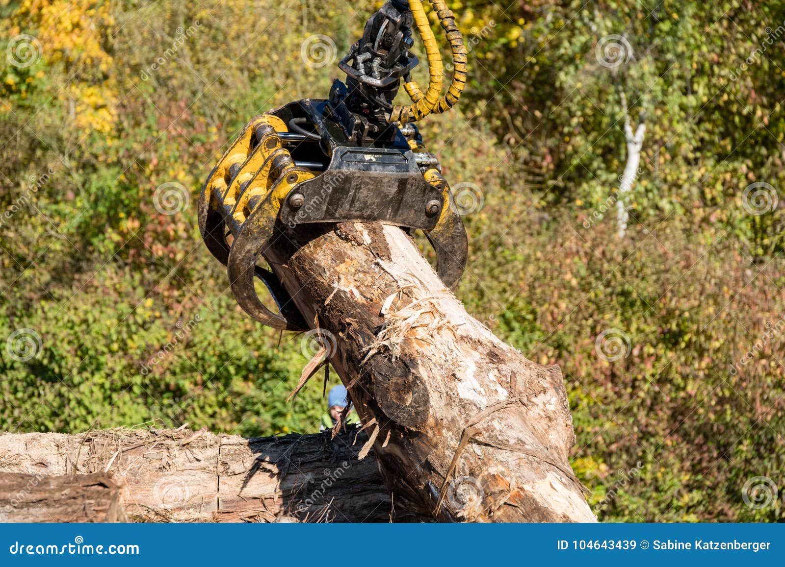 Gripper of a crane stock image. Image of lumber, stack - 104643439