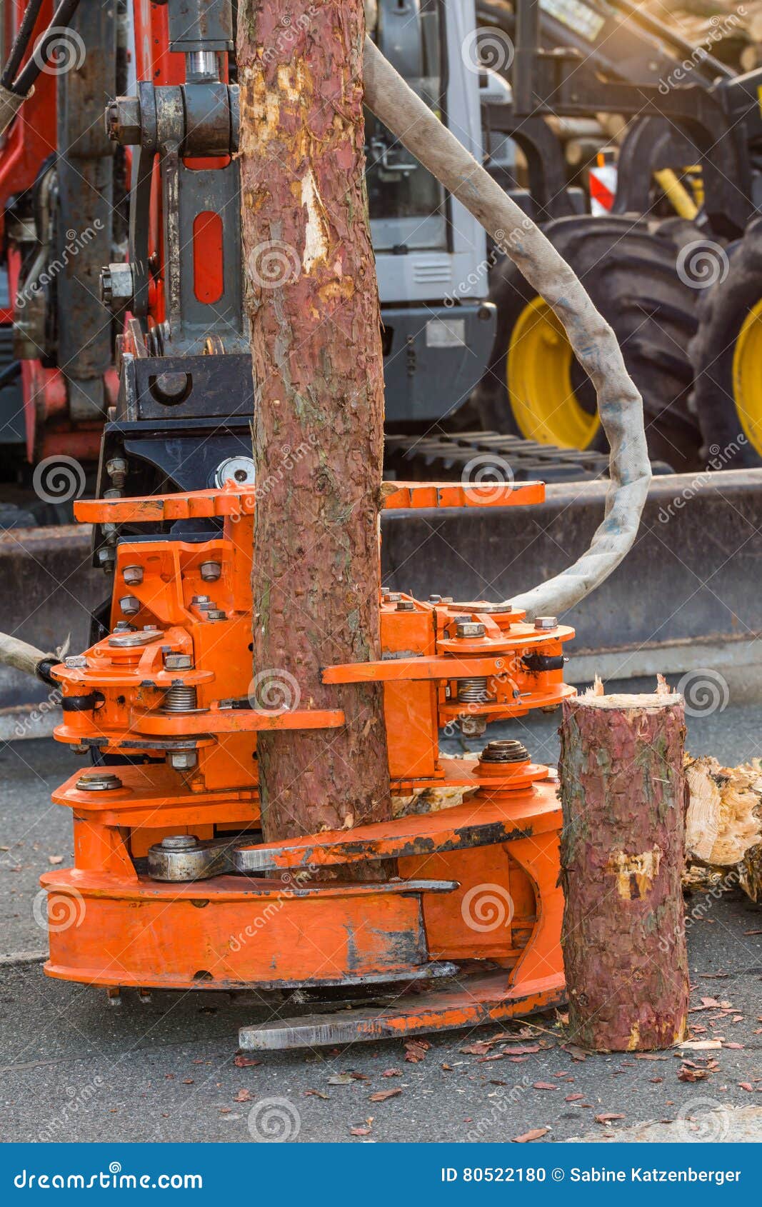 Gripper for wood stock photo. Image of timber, machinery - 80522180