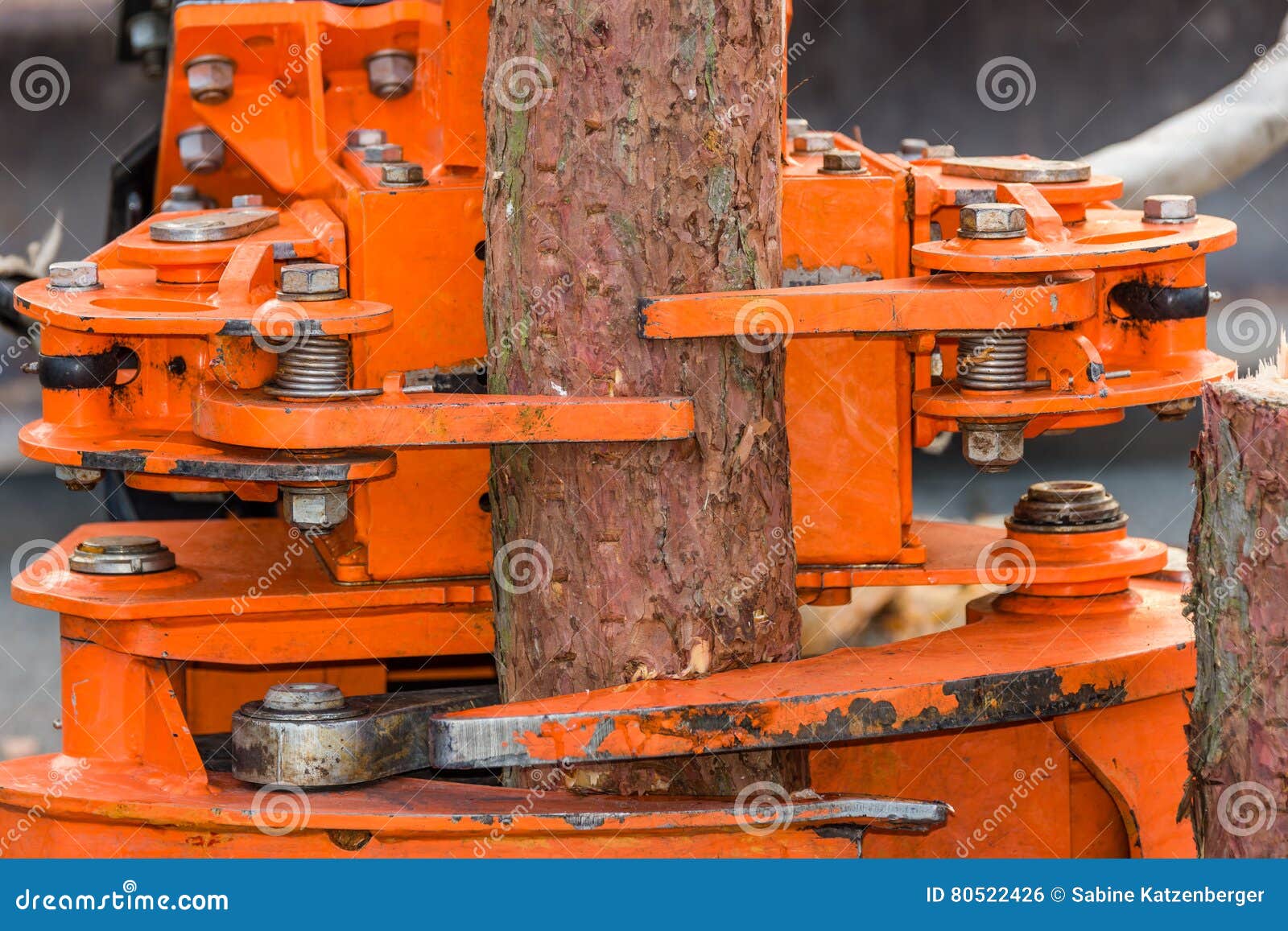 Gripper for wood stock photo. Image of forest, head, equipment - 80522426