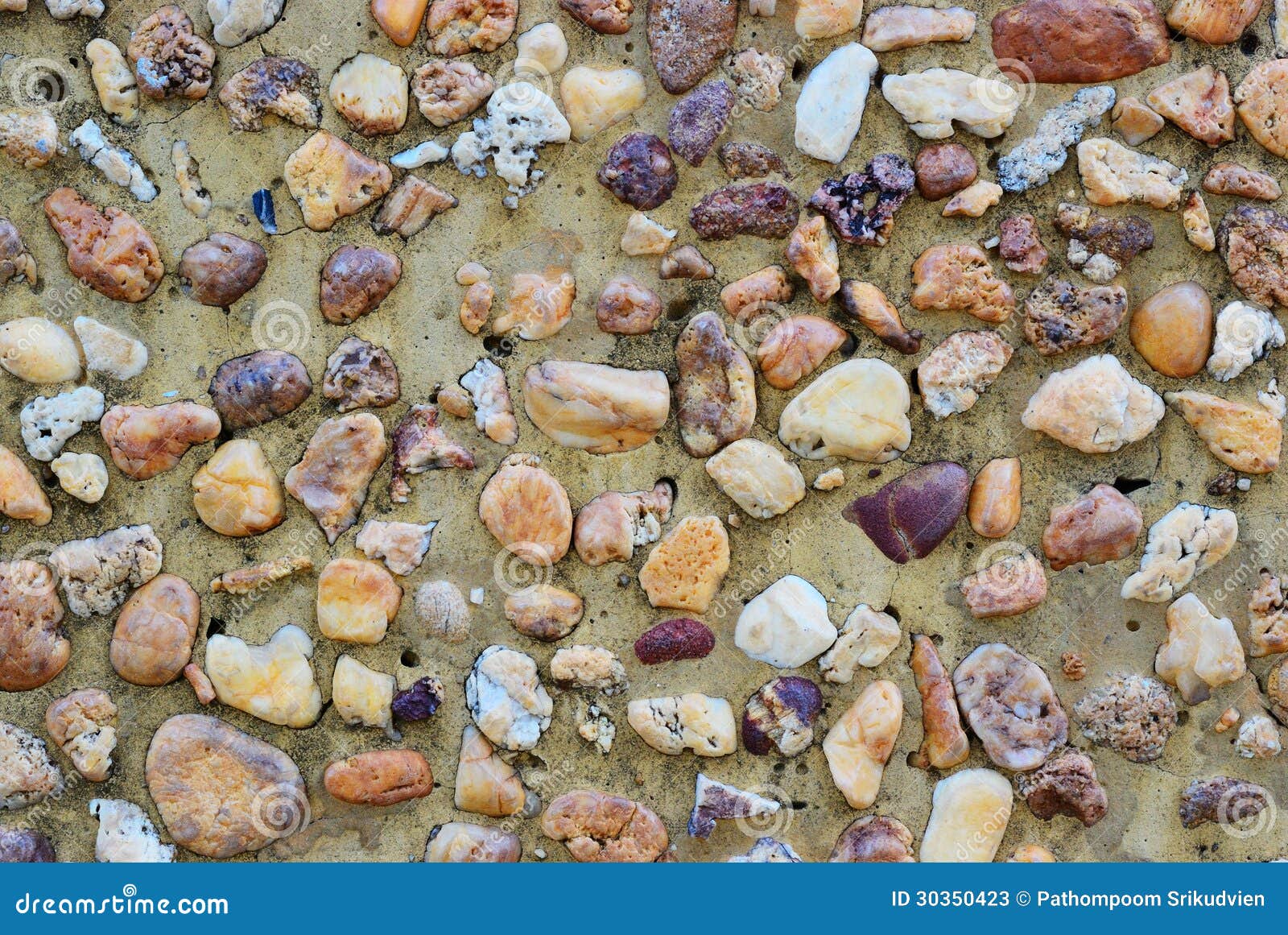 Grit in concrete wall stock image. Image of grungy, natural - 30350423