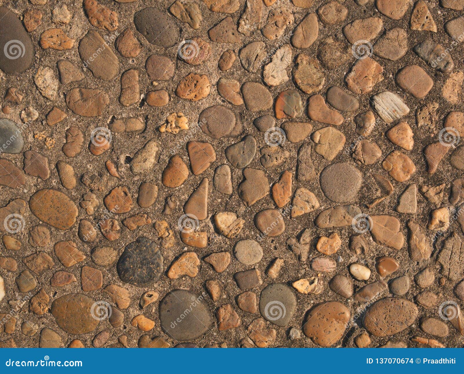 The Grit Wall Texture and Pattern Stock Photo - Image of stable, hard ...