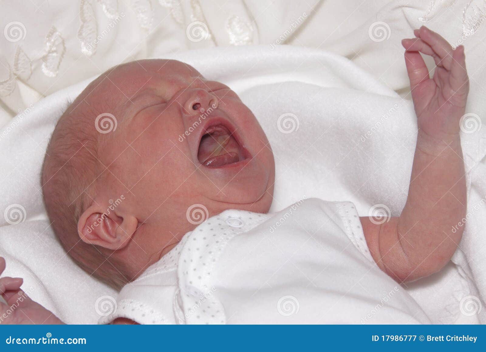 Grito do bebê imagem de stock. Imagem de branco, menina - 17986777