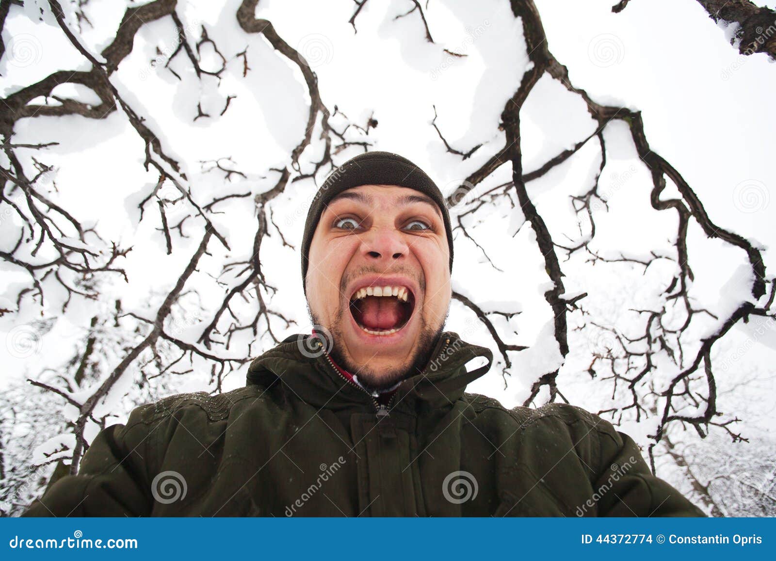 Grito loco del hombre foto de archivo. Imagen de cara - 44372774