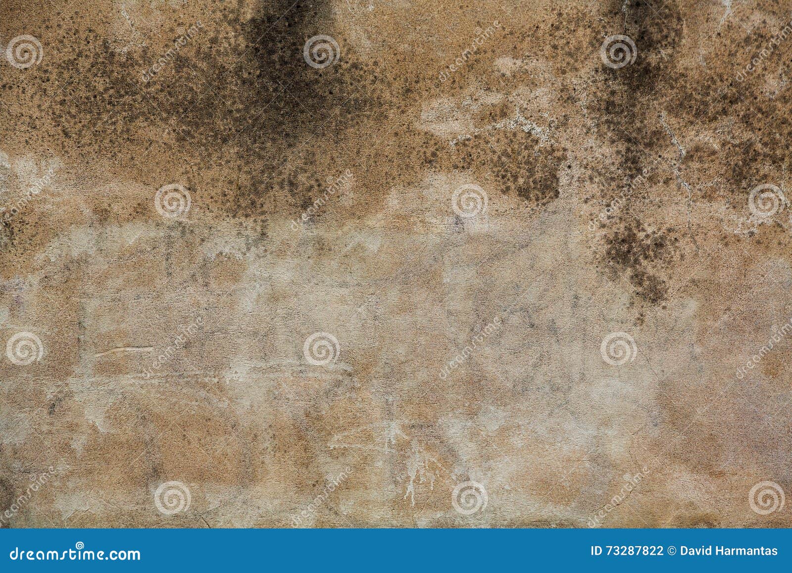 Gritty Concrete Wall stock photo. Image of stone, rough - 73287822