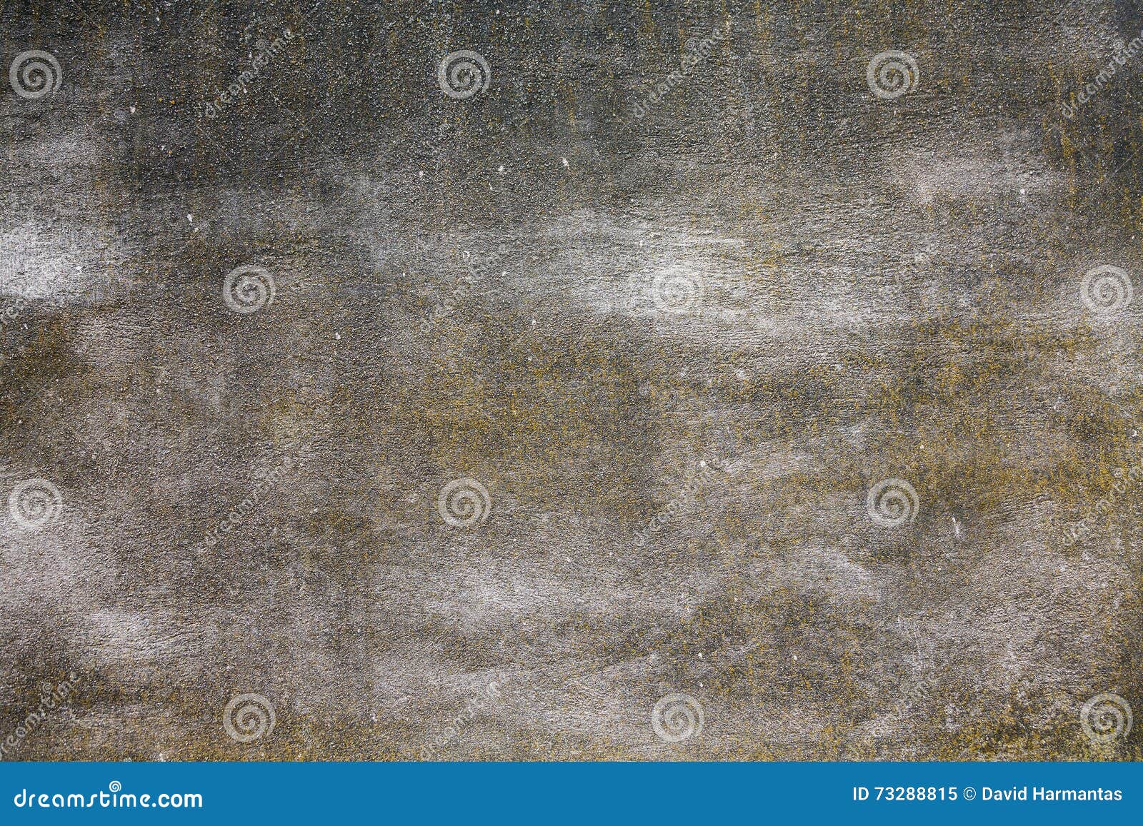 Gritty Concrete Wall stock image. Image of blank, gritty - 73288815
