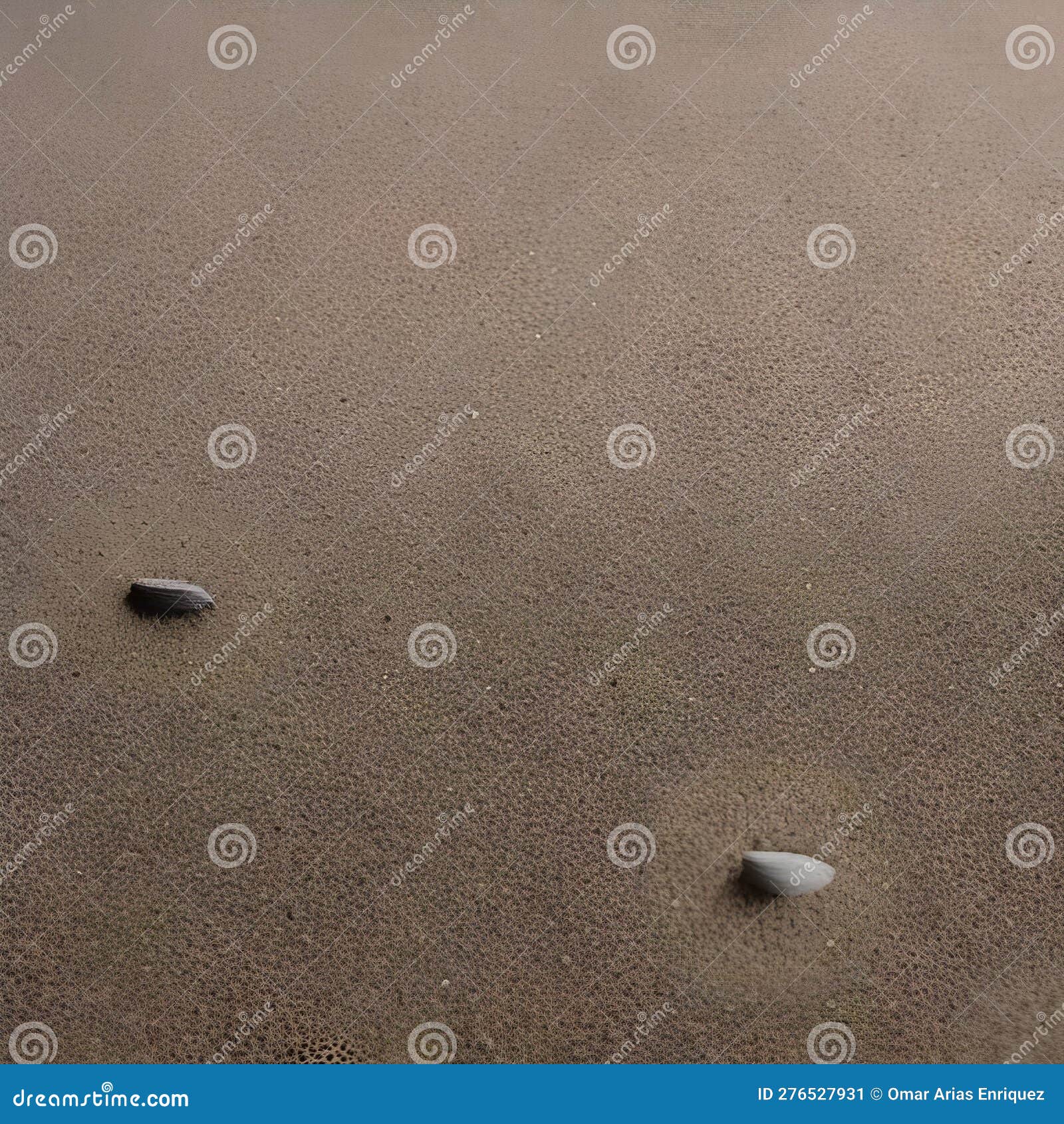 A Gritty and Sandy Texture with Beach Sand and Seashells5, Generative ...