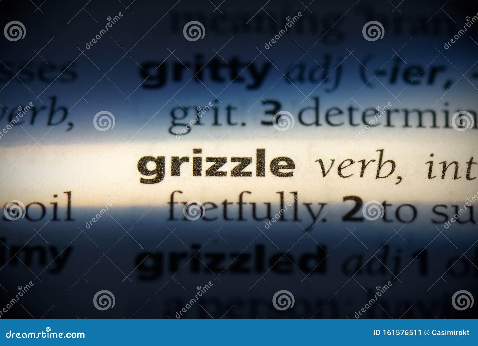 Grizzle stock image. Image of highlighted, meaning, close - 161576511