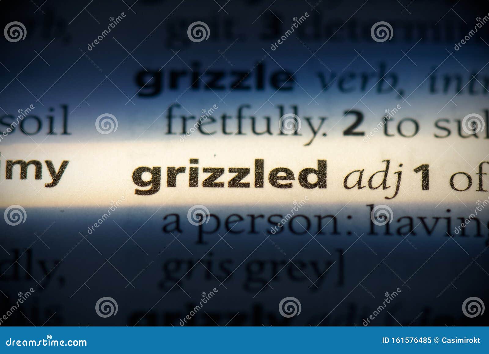Grizzled stock image. Image of linguistic, highlight - 161576485