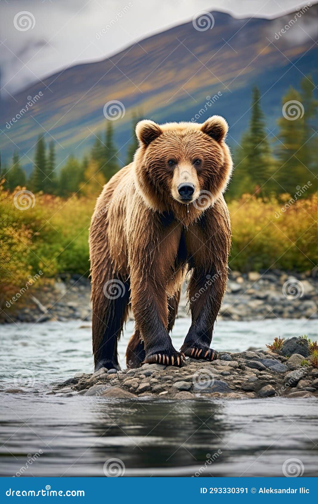 Grizzly Bear in Alaskan Wilderness. Ai Generative Stock Image - Image ...