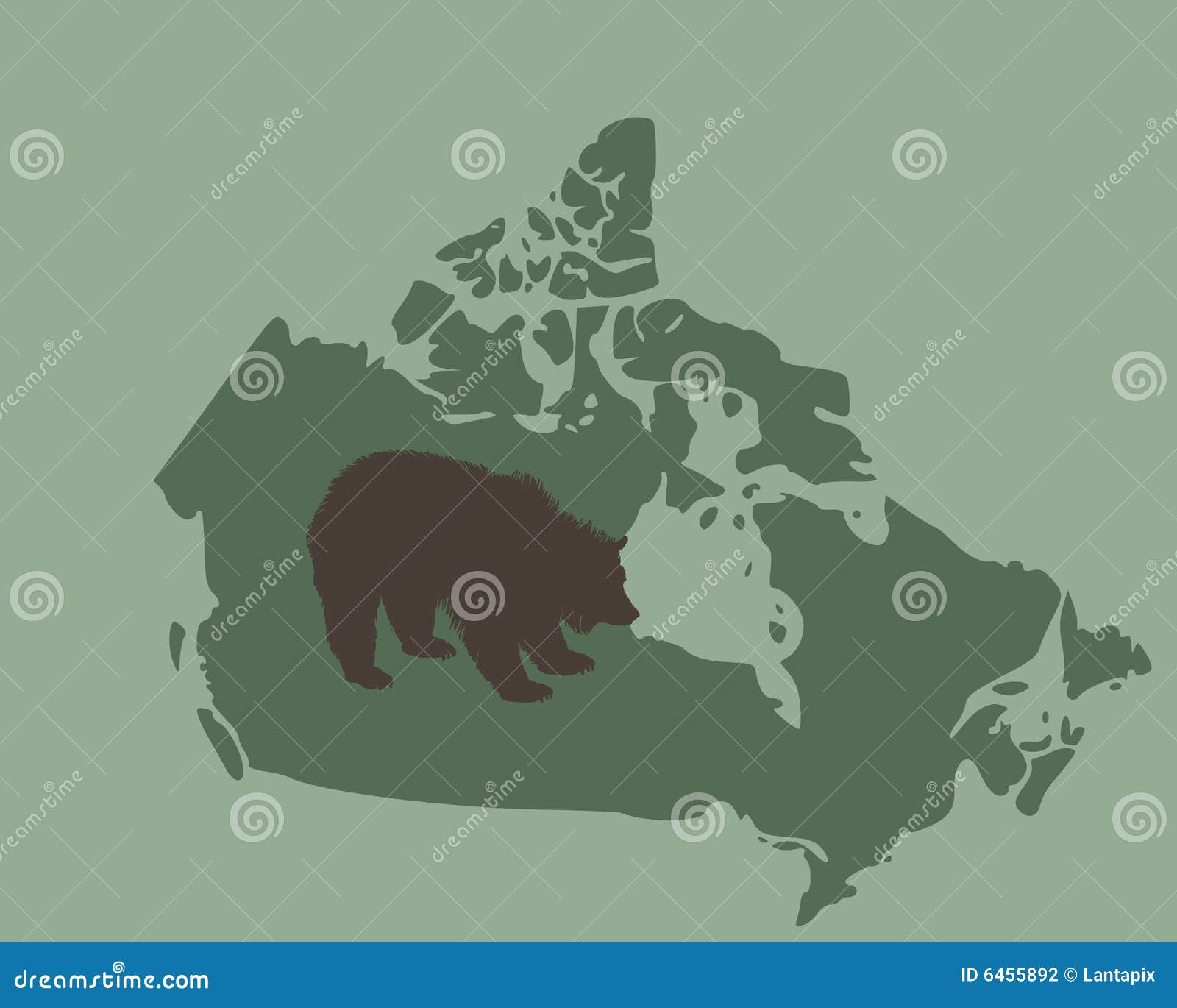 Grizzly bear in Canada stock vector. Illustration of background - 6455892