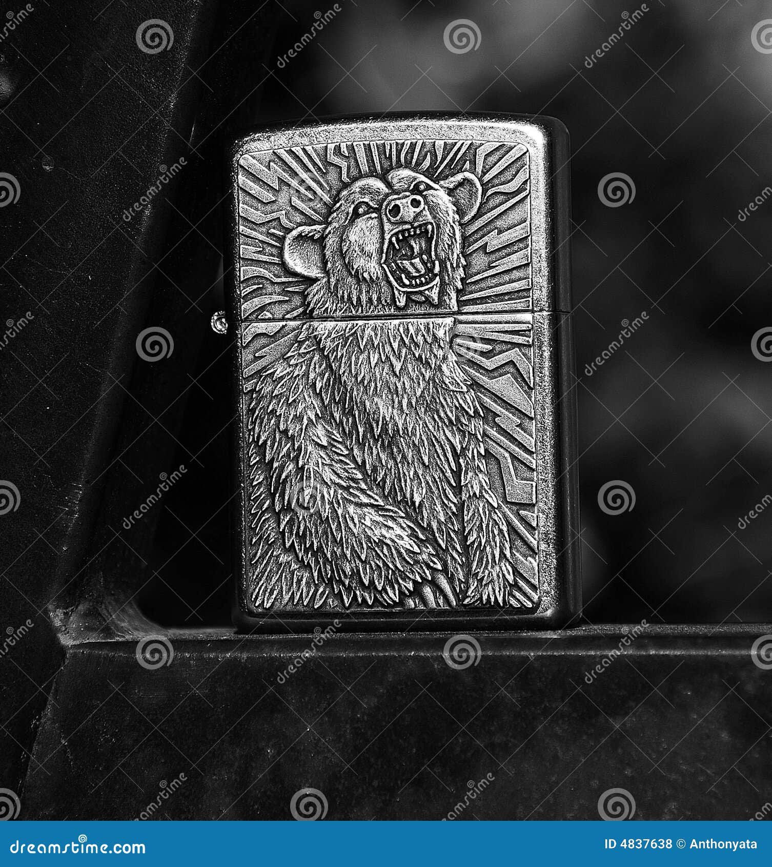 Grizzly Bear Lighter stock photo. Image of chrome, bear - 4837638