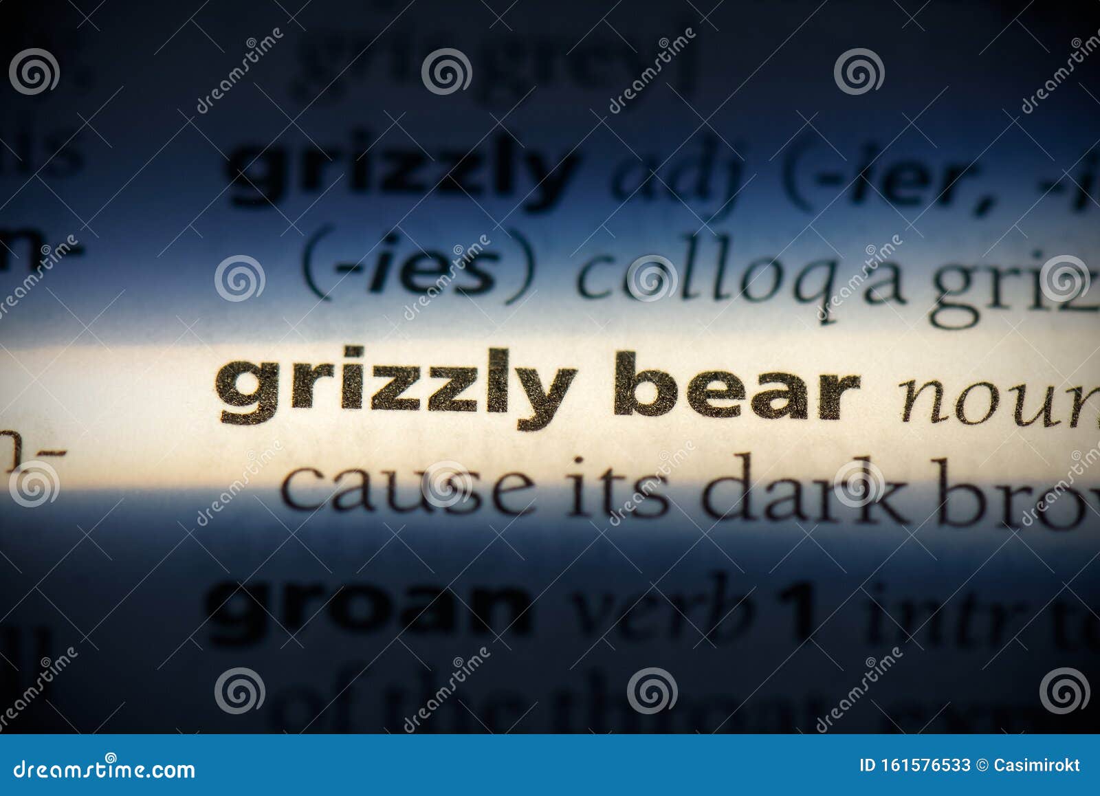 Grizzly bear stock image. Image of meaning, printed - 161576533